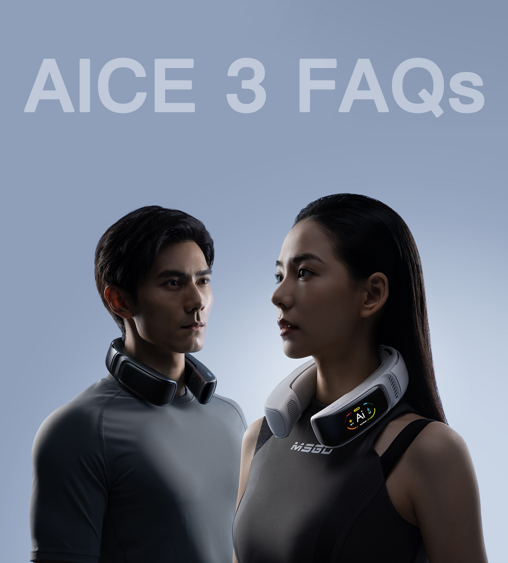 FAQ-AICE 3